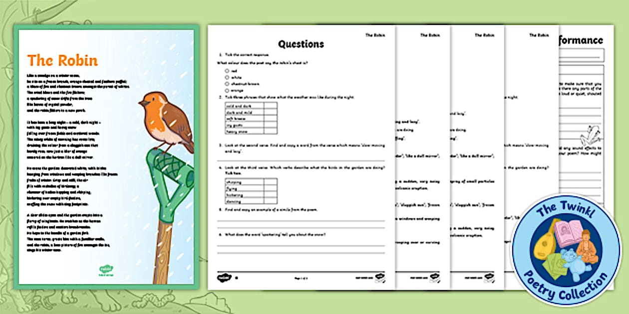 'The Robin' – Winter Free Verse Poem for KS2 - Twinkl